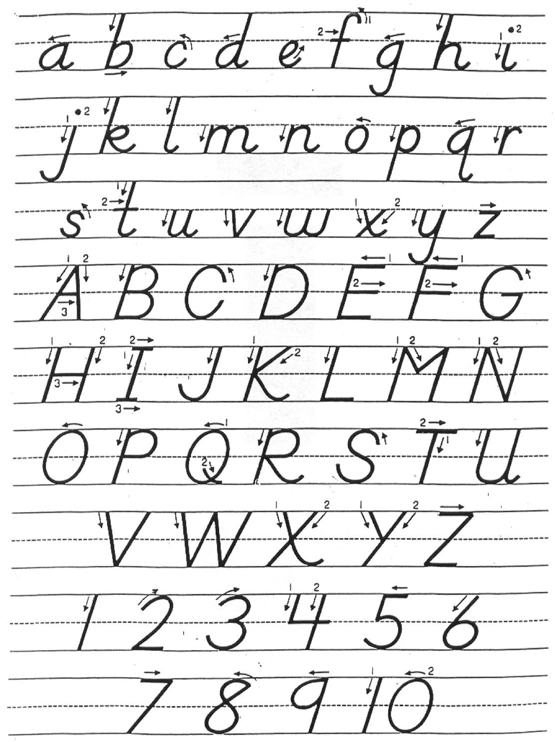 D nealian Cursive Alphabet Download Printable Cursive Alphabet Free 