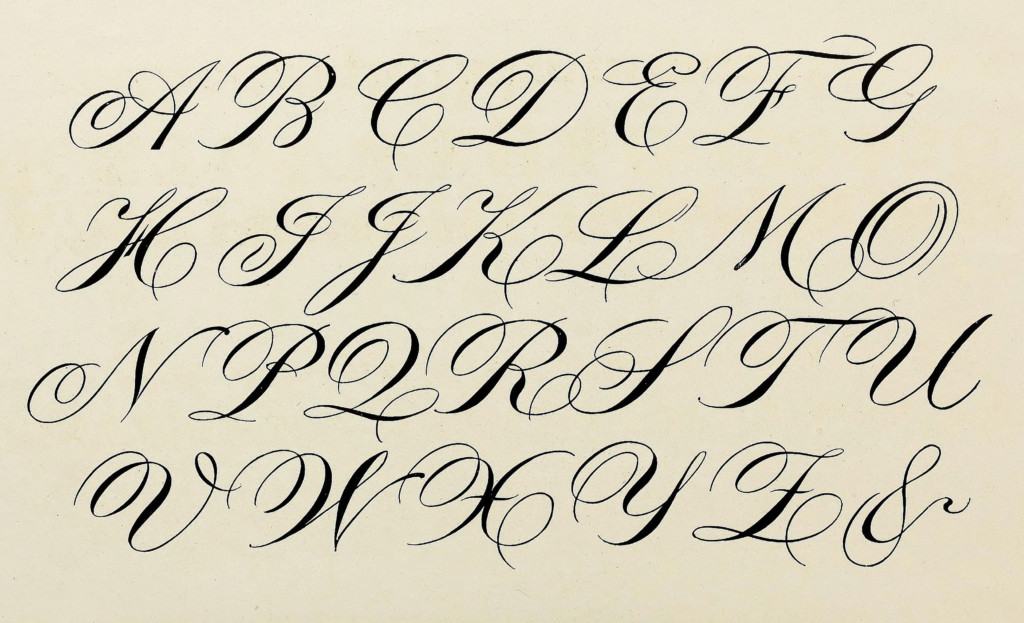 Cursive Alphabet Calligraphy Download Printable Cursive Alphabet Free Cursive Alphabet Calligraphy Download Printable Cursive Alphabet Free